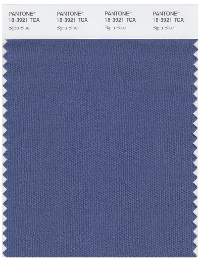 Pantone Smart 18 3921 TCX Color Swatch Card Bijou Blue Magazine