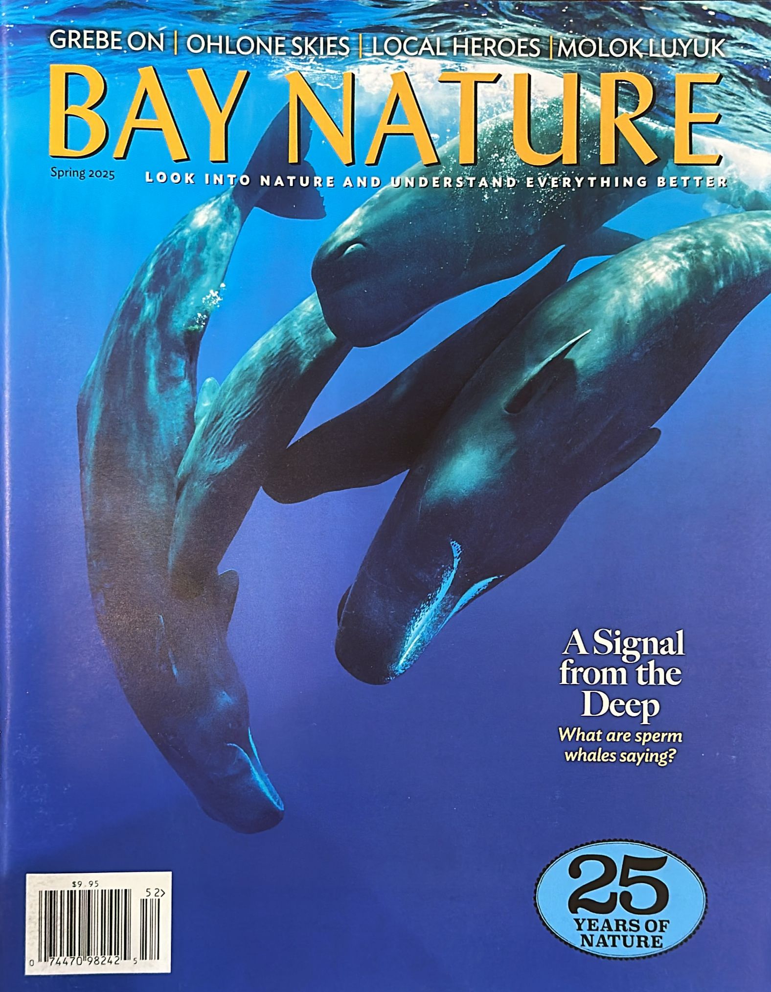 Bay Nature Magazine