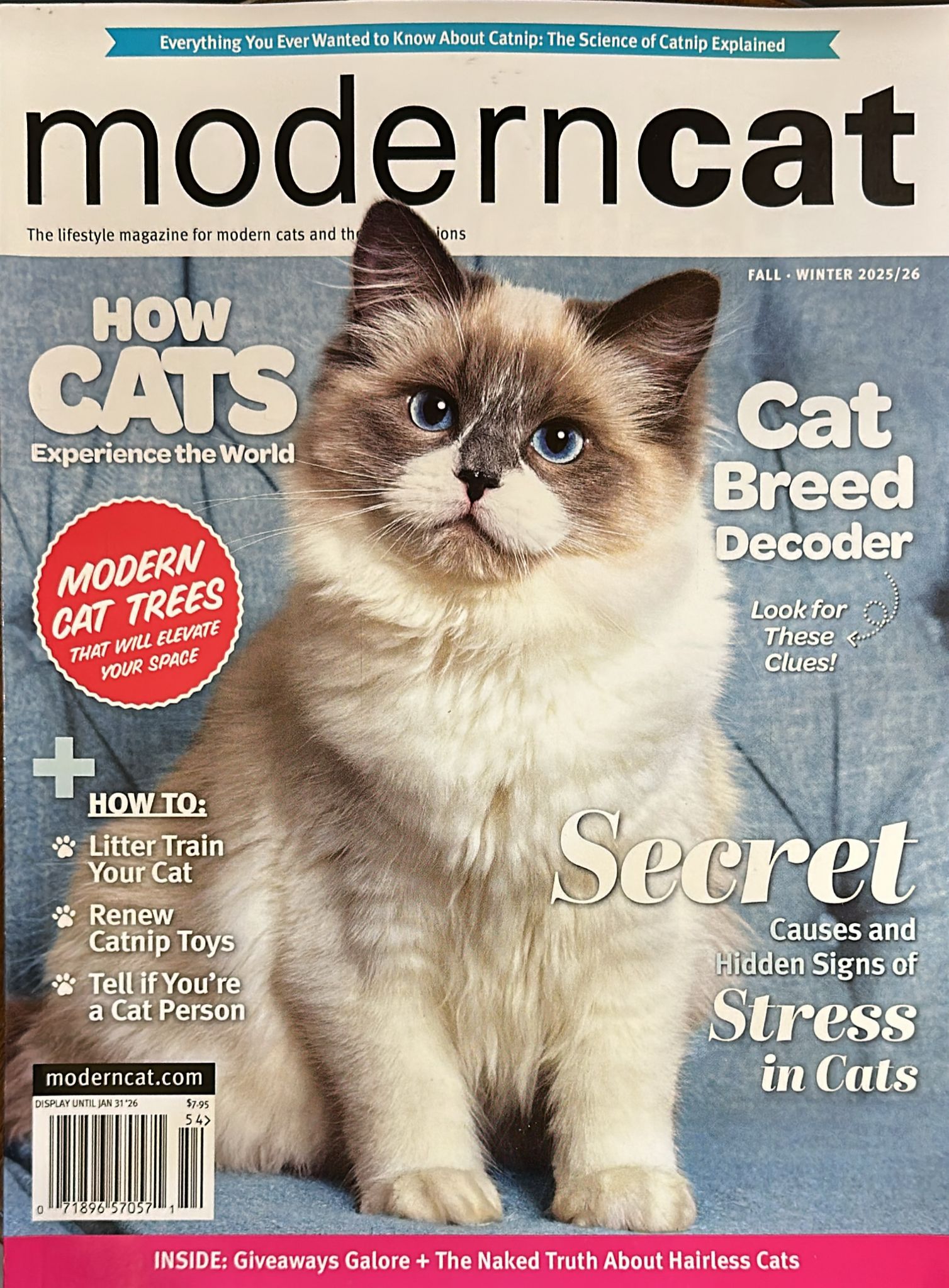 Buy Issue of Modern Cat Magazine, Pets & Animals Mags from ...
