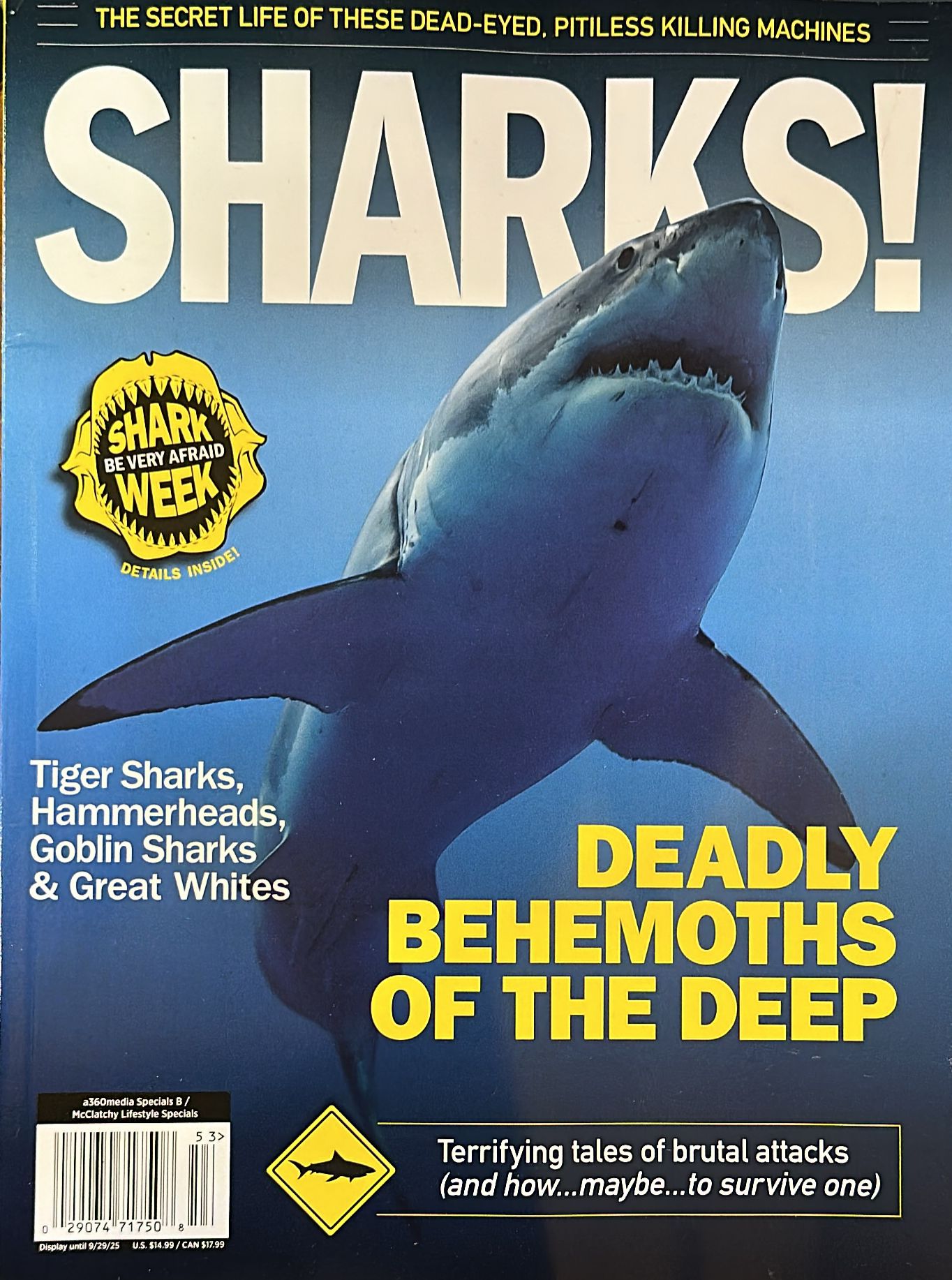 Sharks Magazine