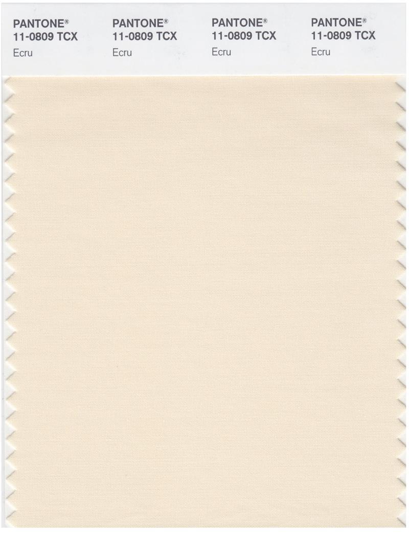Ecru Color Swatch