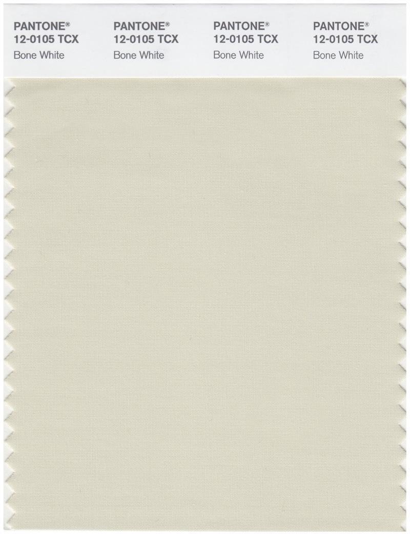 Pantone Smart 12-0105 TCX Color Swatch Card | Bone White | Magazine ...