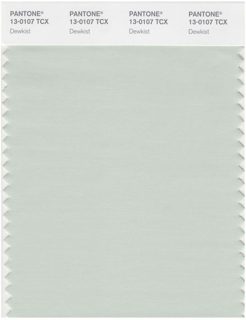 Pantone Smart 13-0107 TCX Color Swatch Card | Dewkist