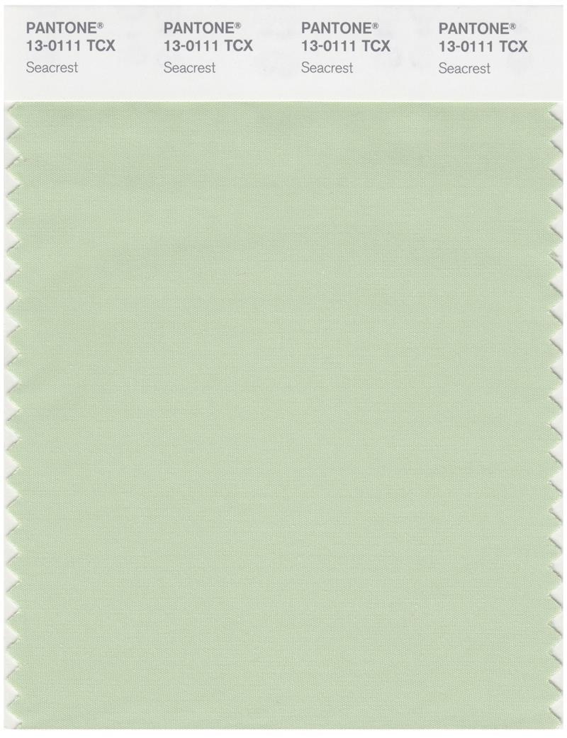 Pantone Smart 13-0111 TCX Color Swatch Card | Seacrest
