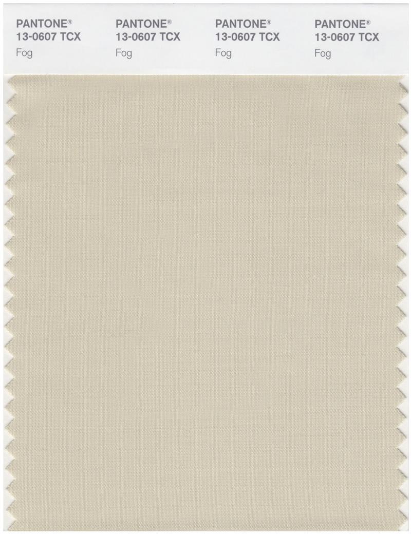 Pantone Smart 13-0607 TCX Color Swatch Card | Fog | Magazine Cafe Store ...