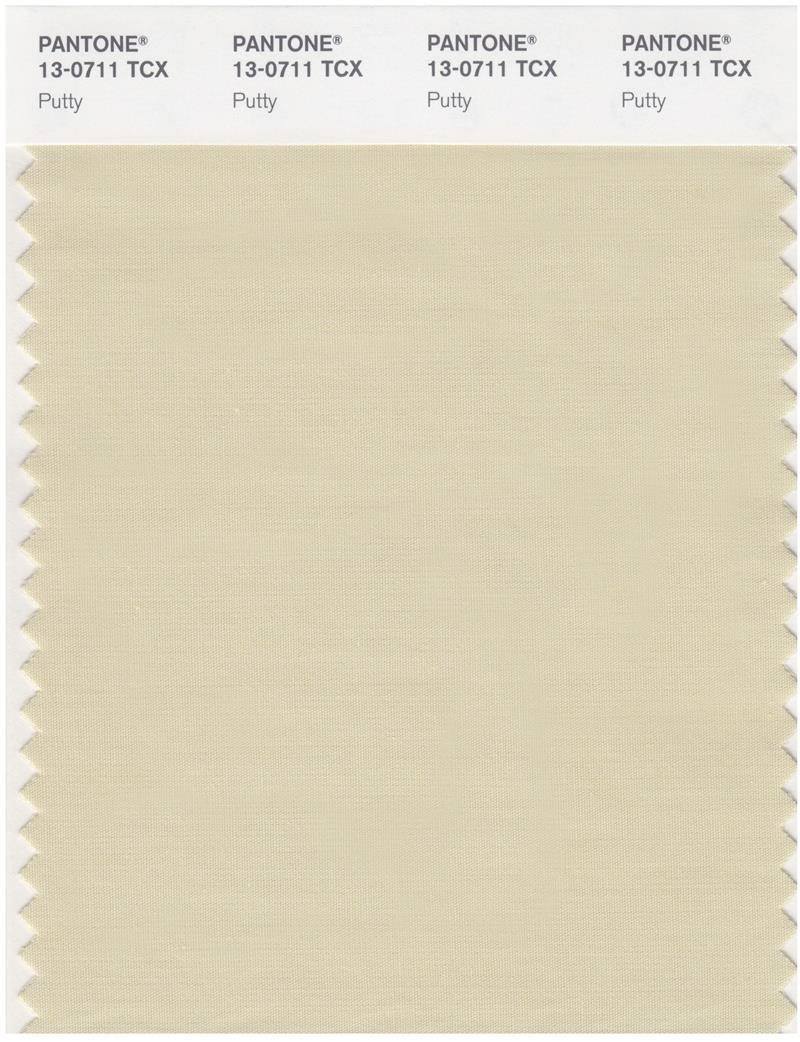 Pantone Smart 13-0711 TCX Color Swatch Card | Putty | Magazine Cafe ...