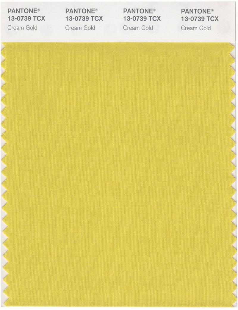 Pantone Smart 13-0739 TCX Color Swatch Card | Cream Gold | Magazine ...