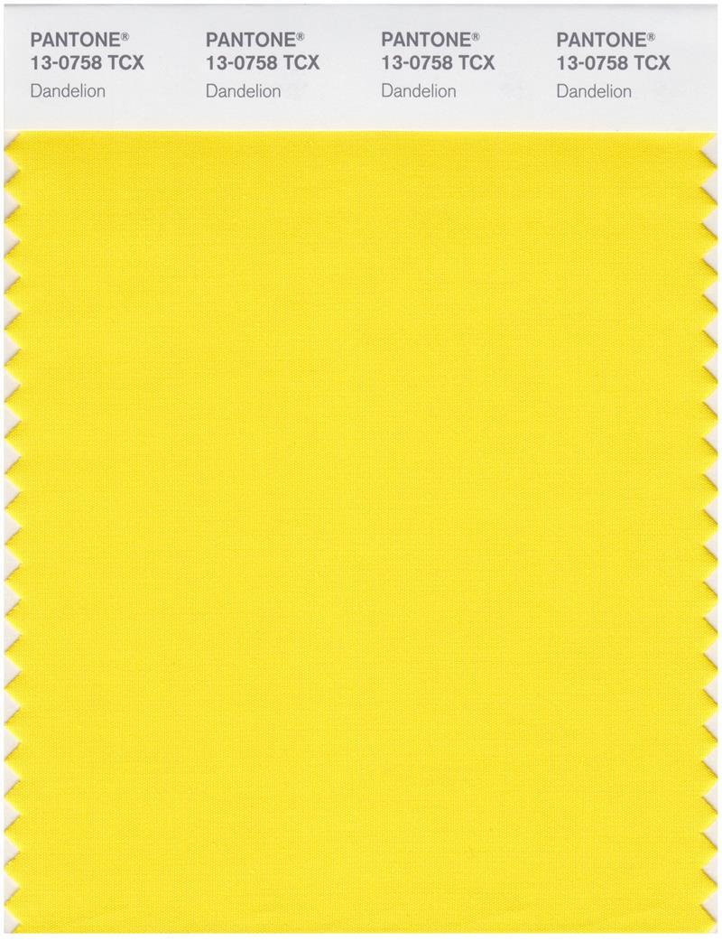 Pantone Smart 13-0758 TCX Color Swatch Card | Dandelion | Magazine Cafe ...