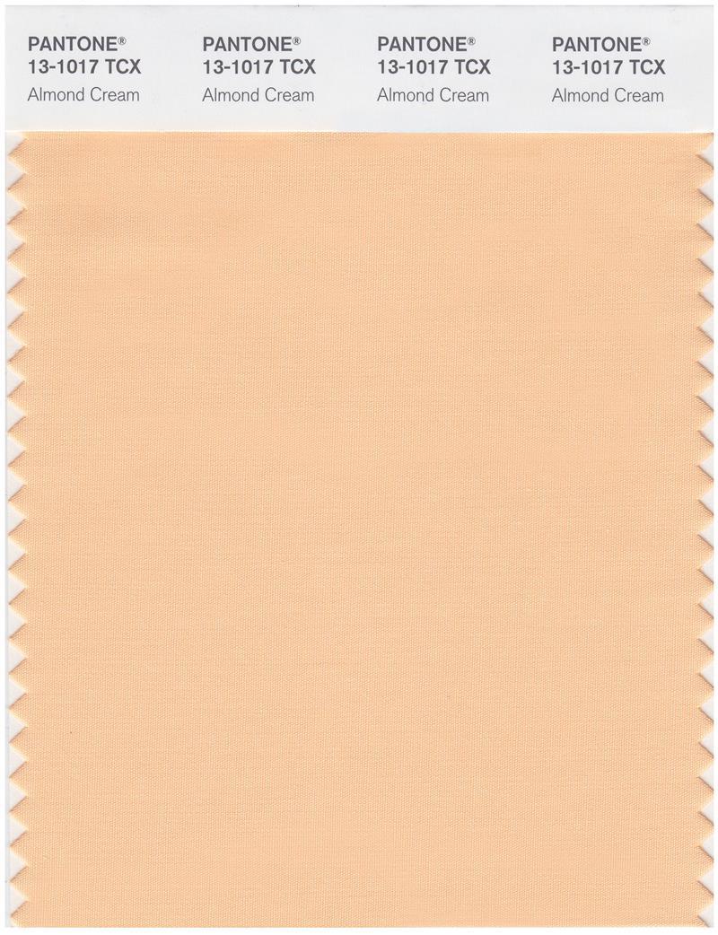 Pantone Smart 13-1017 TCX Color Swatch Card | Almond Cream | Magazine ...
