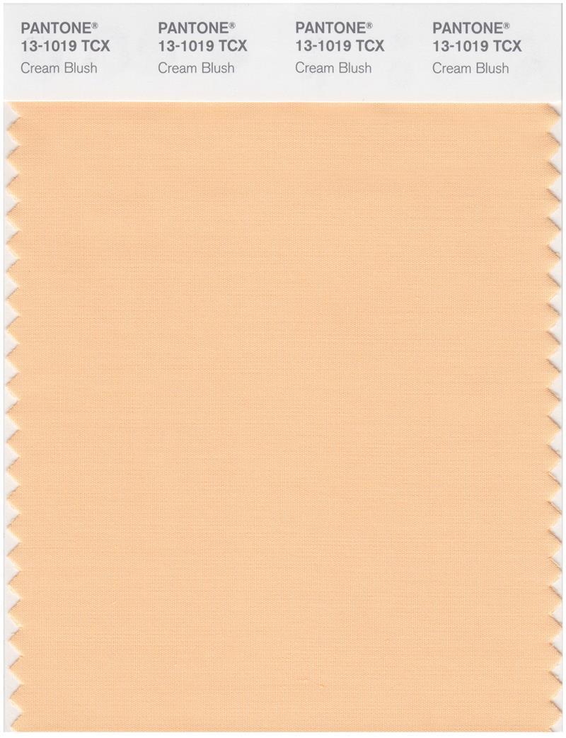 Pantone Smart 13-1019 TCX Color Swatch Card | Cream Blush | Magazine ...