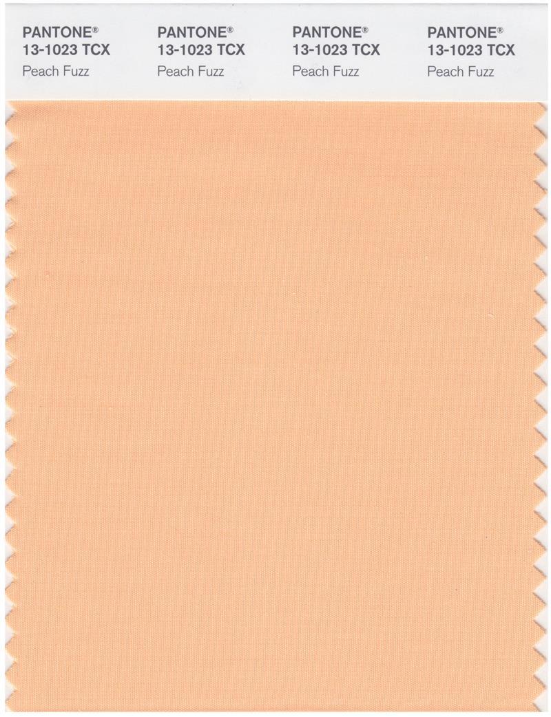 Pantone Smart 13 1023 TCX Color Swatch Card Peach Fuzz Magazine Pantone Smart 13 1023 TCX Color Swatch Card Peach Fuzz Magazine