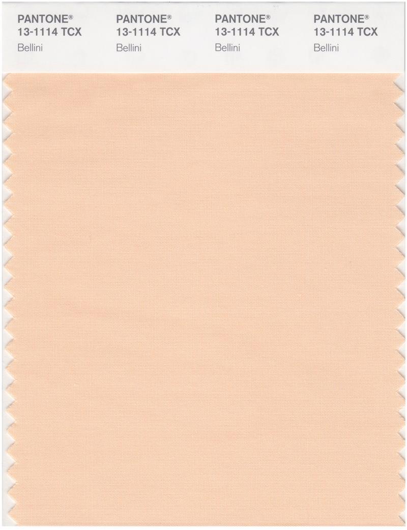 Pantone Smart 13-1114 TCX Color Swatch Card | Bellini | Magazine Cafe ...