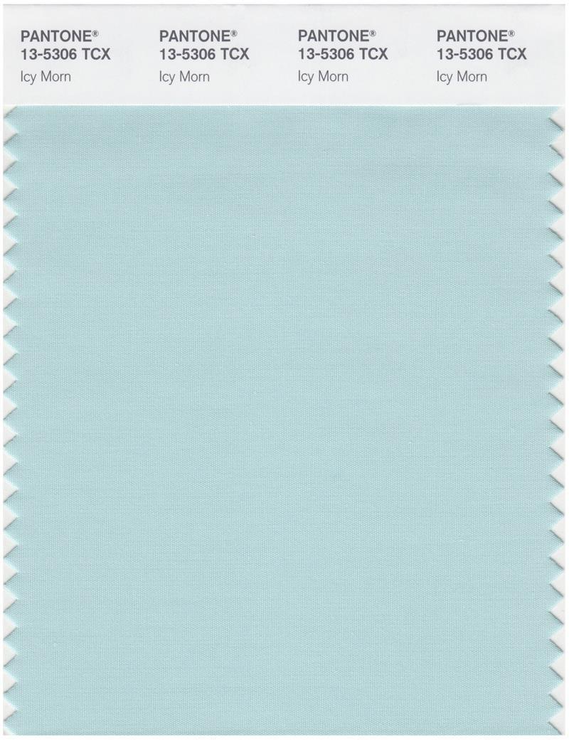 Pantone Smart 13-5306 TCX Color Swatch Card | Icy Morn | Magazine Cafe ...