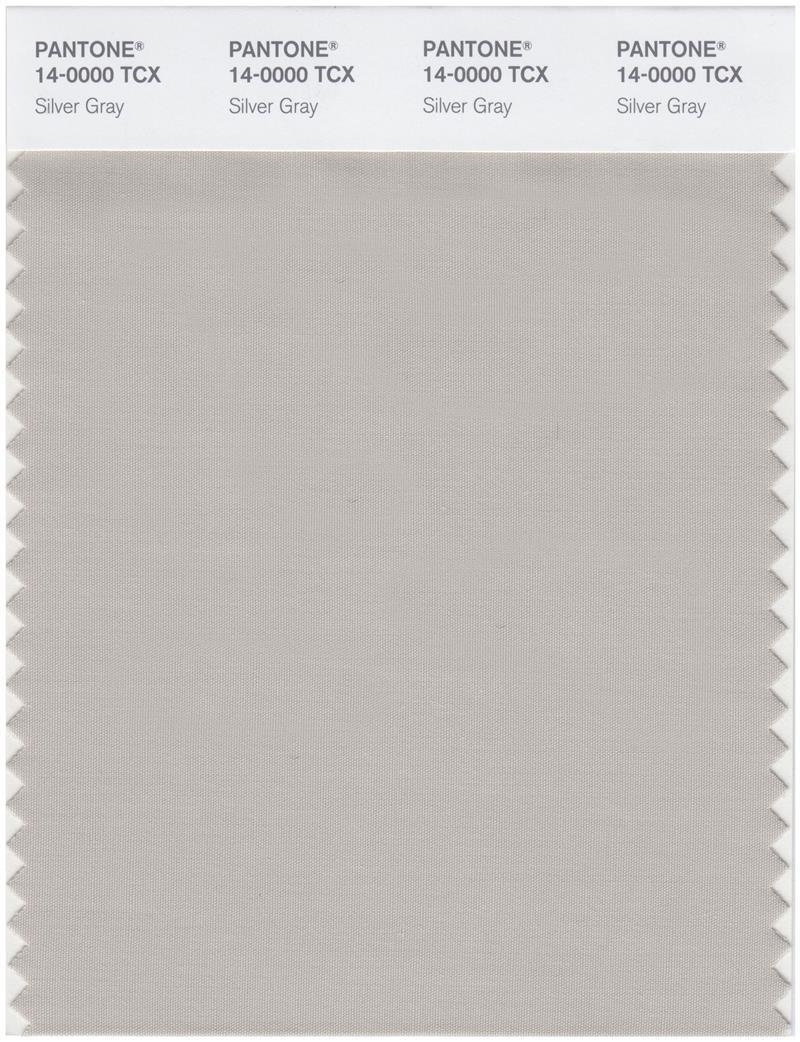 Pantone Smart 14-0000 TCX Color Swatch Card | Silver Gray | Magazine ...