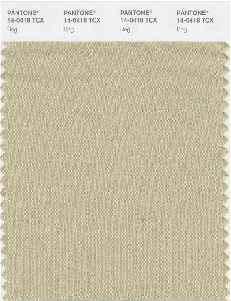 Pantone Smart 14-0418 TCX Color Swatch Card | Bog | Magazine Cafe Store ...