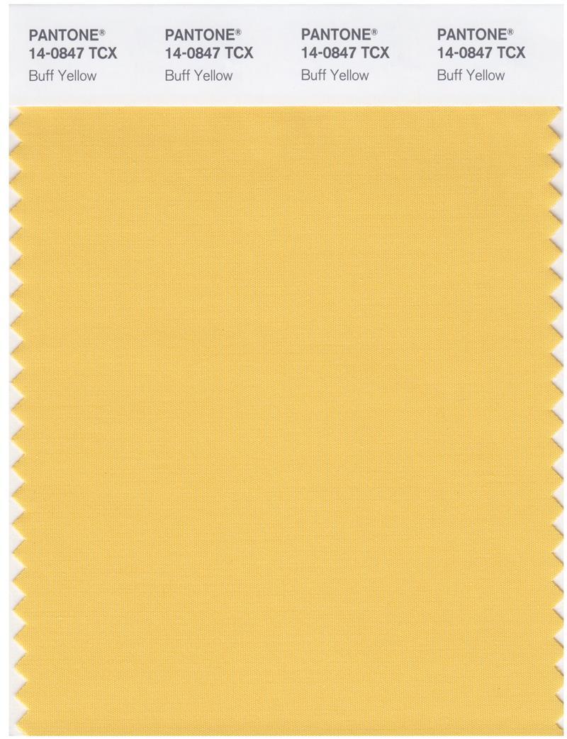Pantone Smart 14-0847 TCX Color Swatch Card | Buff Yellow | Magazine ...