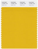 Pantone Smart 14-0951 TCX Color Swatch Card | Golden Rod | Magazine ...