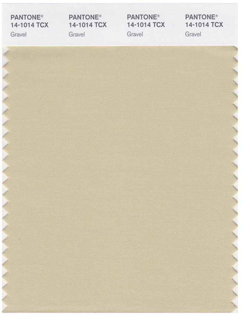Pantone Smart 14-1014 TCX Color Swatch Card | Gravel | Magazine Cafe ...
