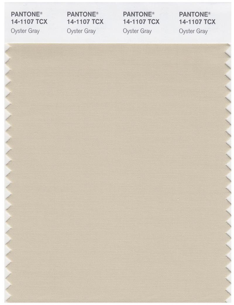 Pantone Smart 14-1107 TCX Color Swatch Card | Oyster Gray | Magazine Cafe Store NYC USA