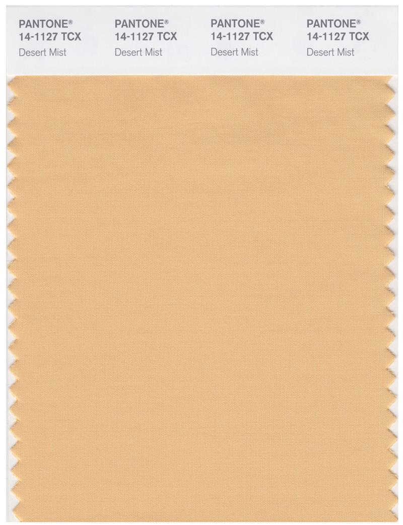 Pantone Smart 14-1127 TCX Color Swatch Card | Desert Mist | Magazine ...