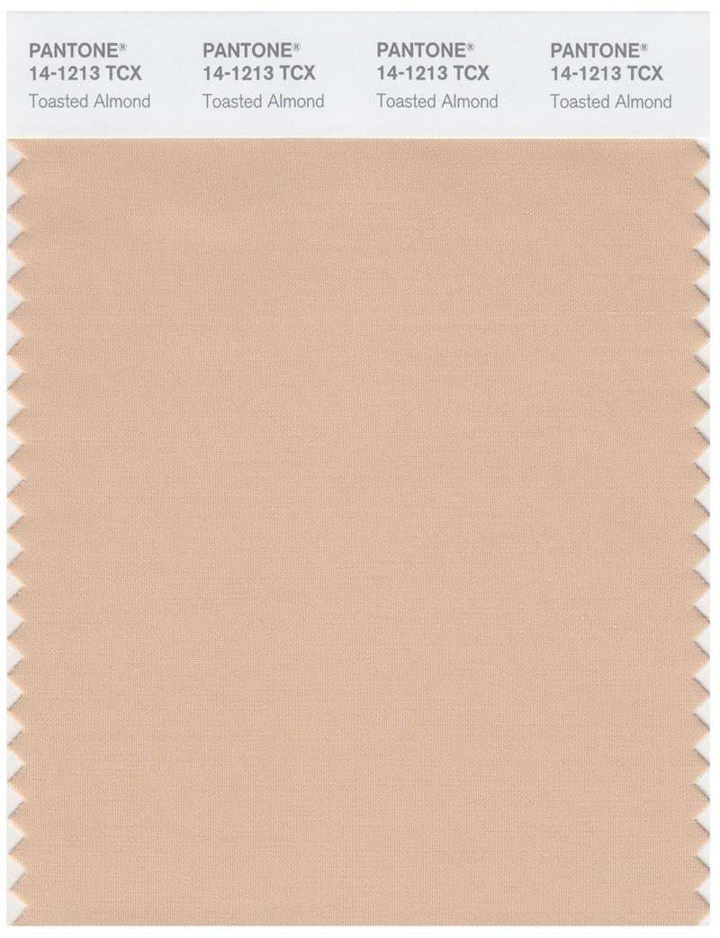 Pantone Smart 14-1213 TCX Color Swatch Card | Toasted Almond | Magazine ...