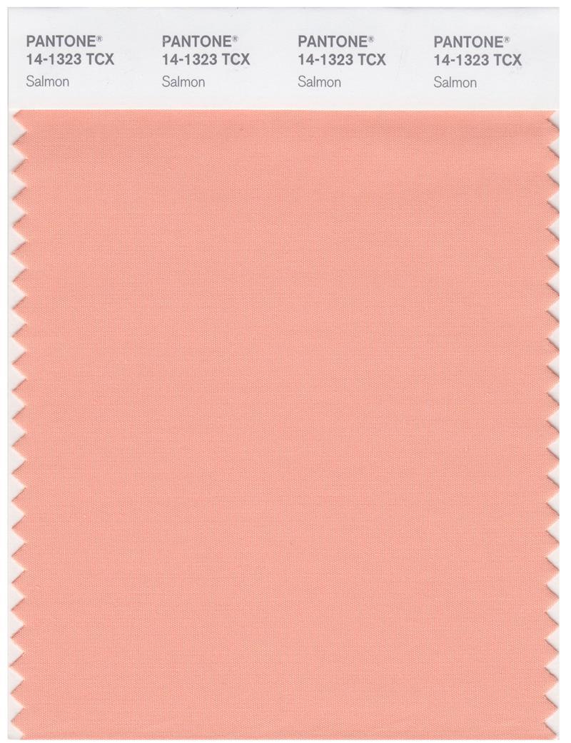 Pantone Smart 14-1323 TCX Color Swatch Card | Salmon | Magazine Cafe ...