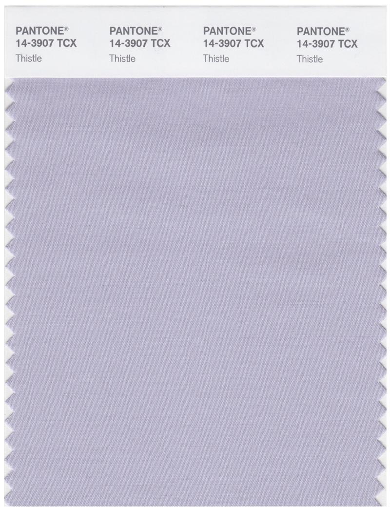 Pantone Smart 14-3907 TCX Color Swatch Card | Thistle | Magazine Cafe ...