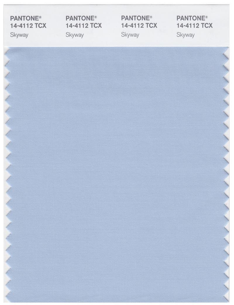 Pantone Smart 14-4112 TCX Color Swatch Card | Skyway | Magazine Cafe ...