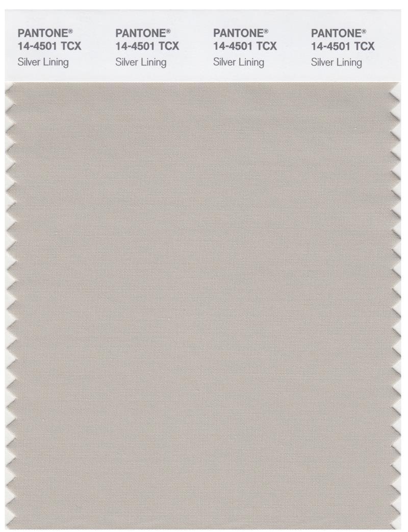 Pantone Smart 14-4501 TCX Color Swatch Card | Silver Lining | Magazine ...