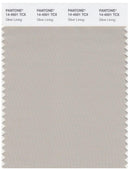 Pantone Smart 14-4501 TCX Color Swatch Card | Silver Lining | Magazine ...