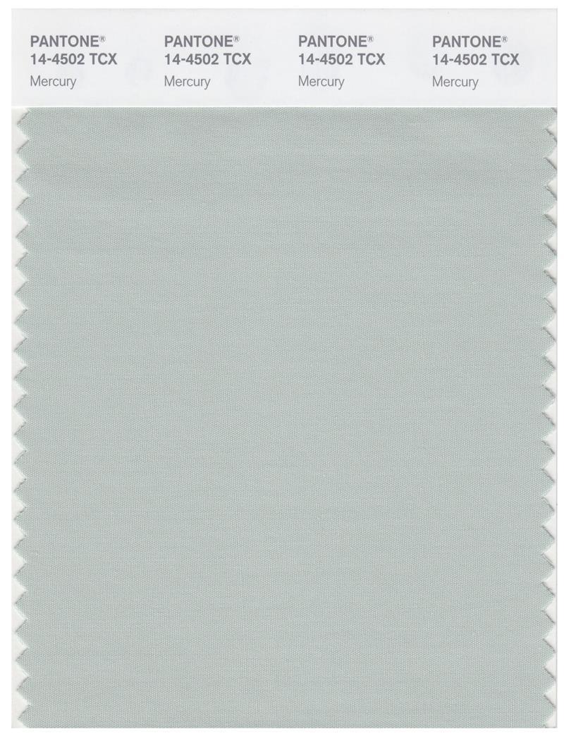 Pantone Smart 14-4502 TCX Color Swatch Card | Mercury | Magazine Cafe ...