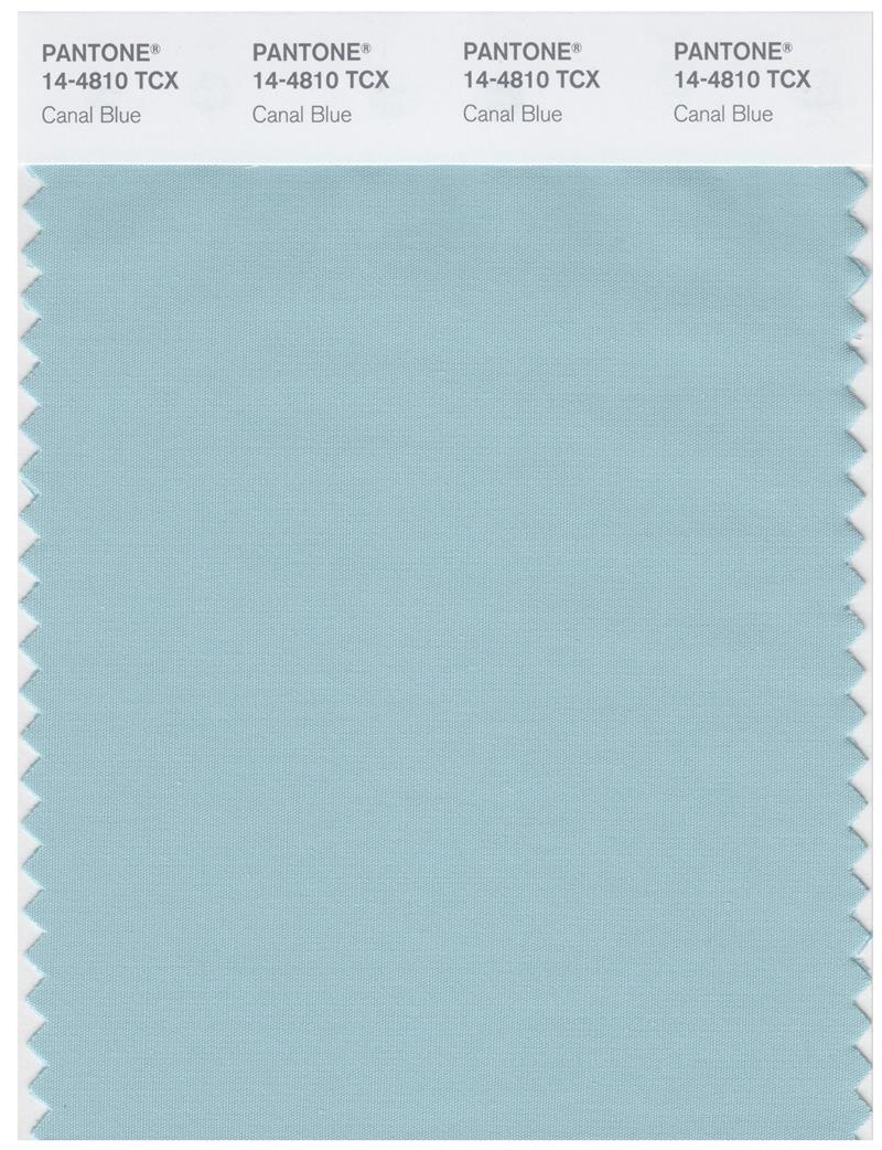 Pantone Smart 14-4810 TCX Color Swatch Card | Canal Blue | Magazine ...