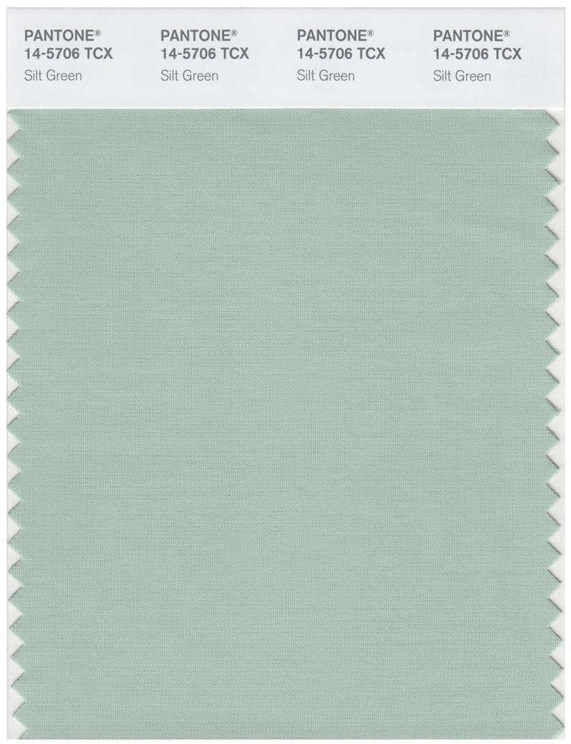 Pantone Smart 14-5706 TCX Color Swatch Card | Silt Green | Magazine ...