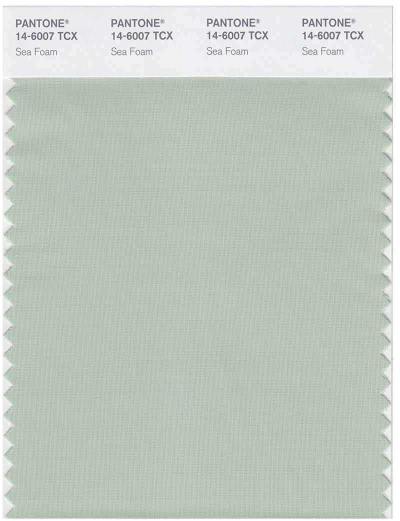 Pantone Smart 14-6007 TCX Color Swatch Card | Sea Foam | Magazine Cafe ...