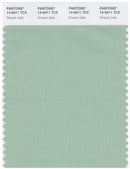 Pantone Smart 14-6011 TCX Color Swatch Card | Grayed Jade | Magazine ...