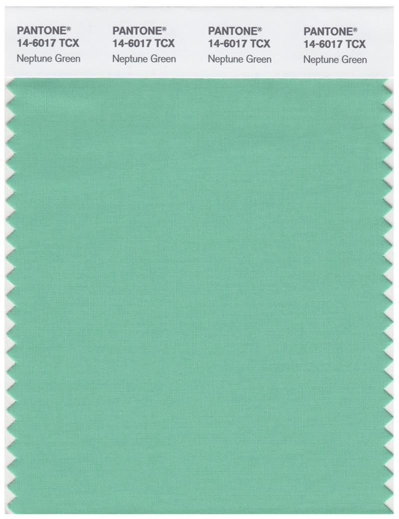 Pantone Smart 14-6017 TCX Color Swatch Card | Neptune Green | Magazine ...