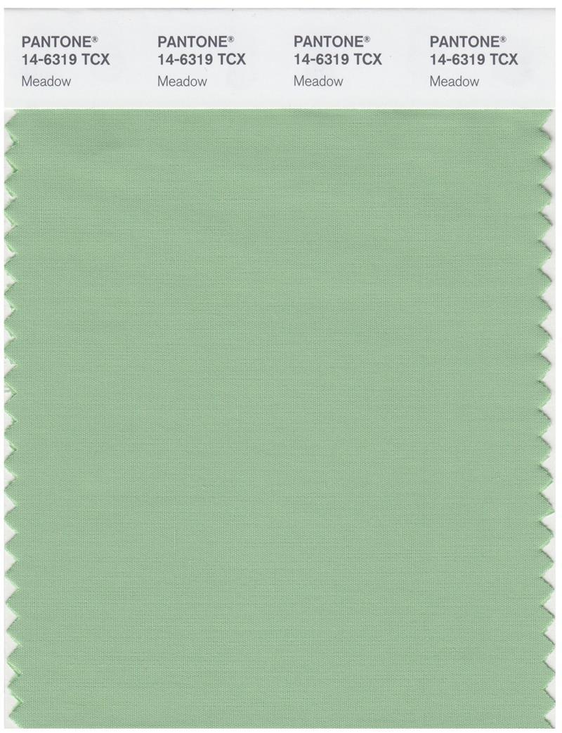 Pantone Smart 14-6319 TCX Color Swatch Card | Meadow | Magazine Cafe ...