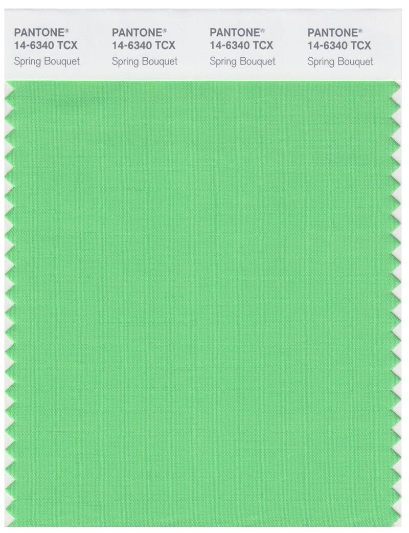 Pantone Smart 14-6340 TCX Color Swatch Card | Spring Bouquet | Magazine ...