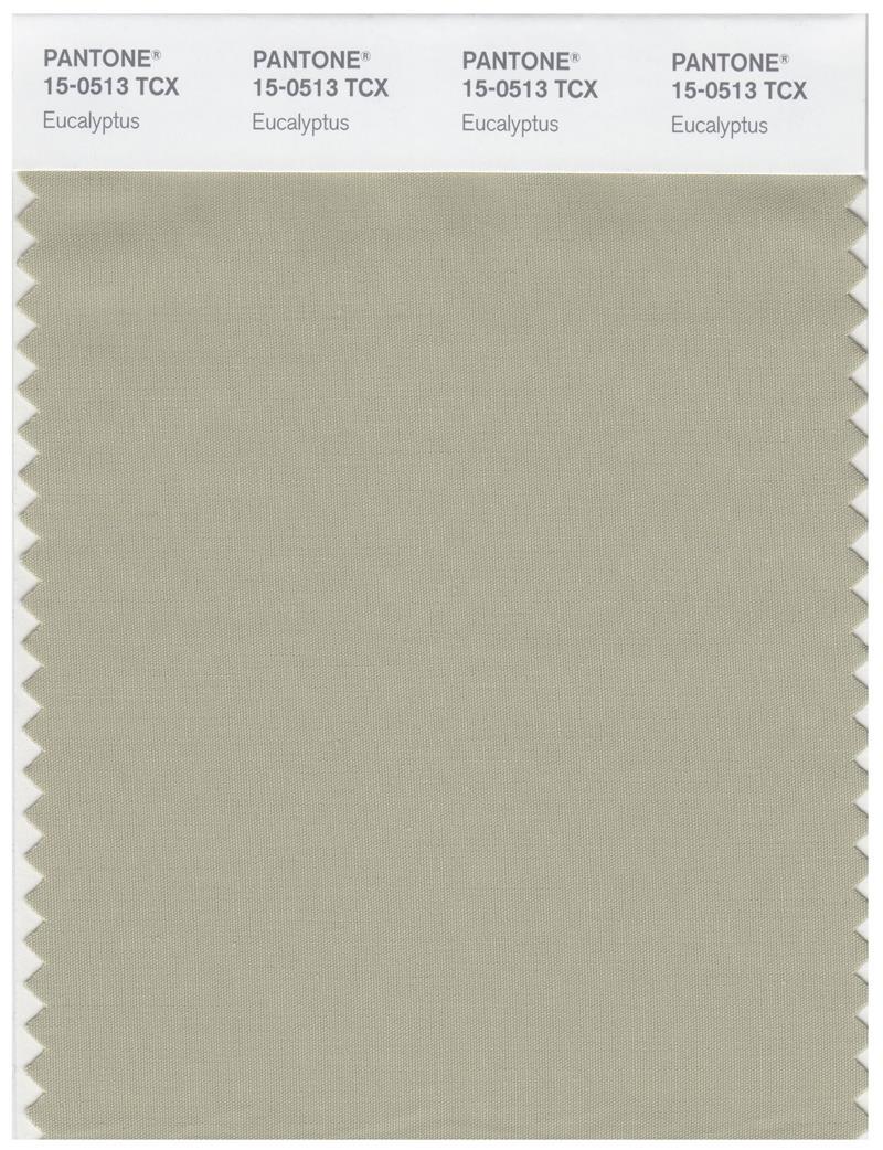 Pantone Smart 15-0513 TCX Color Swatch Card | Eucalyptus | Magazine ...