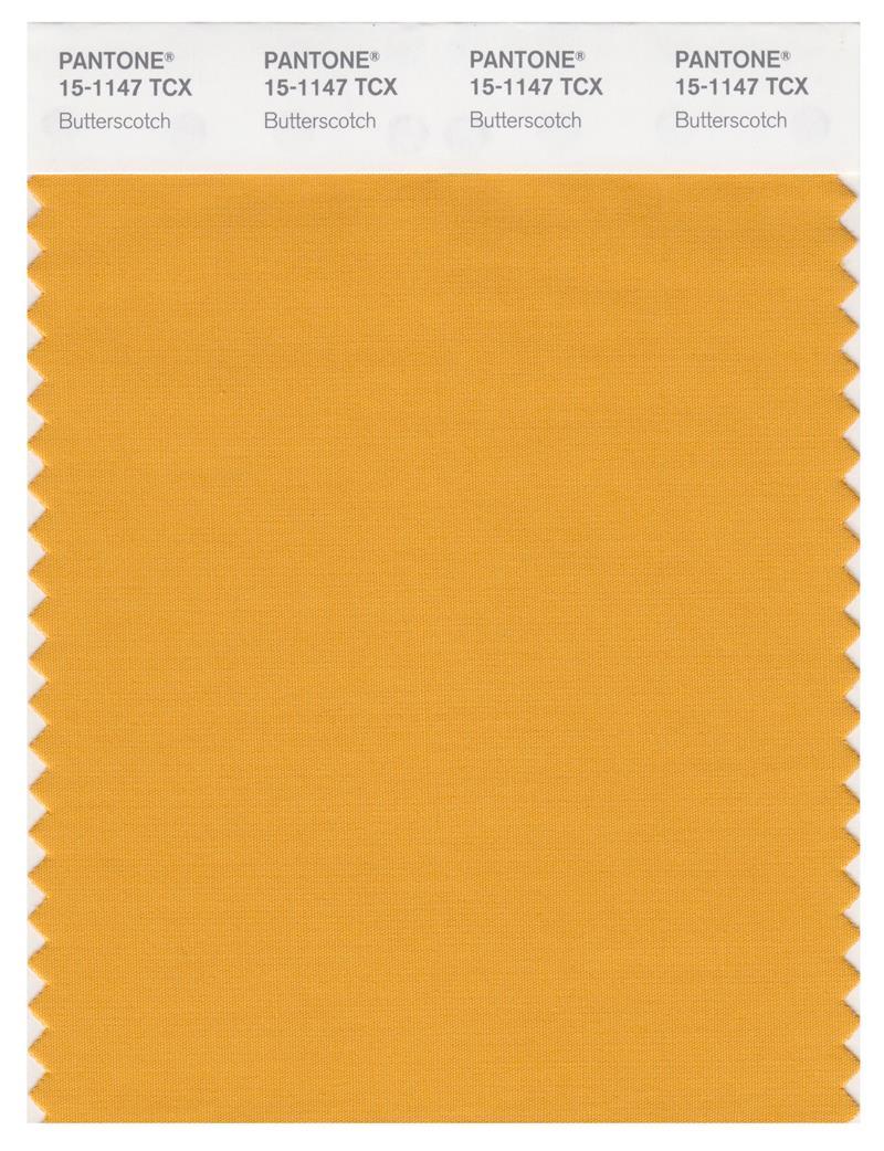 Pantone Smart 15-1147 TCX Color Swatch Card | Butterscotch | Magazine ...