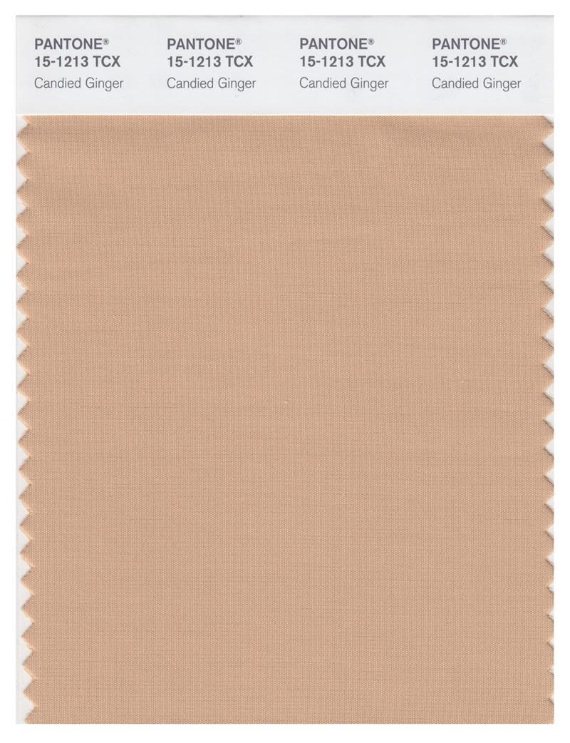 Pantone Smart 15-1213 TCX Color Swatch Card | Candied Ginger | Magazine ...