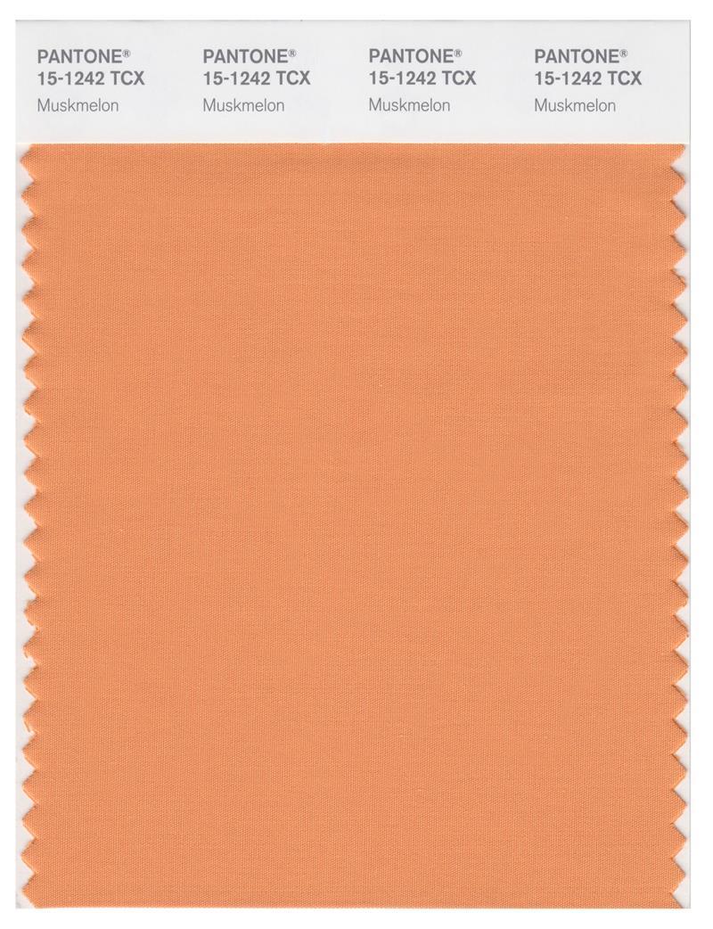 Pantone Smart 15-1242 TCX Color Swatch Card | Muskmelon | Magazine Cafe ...
