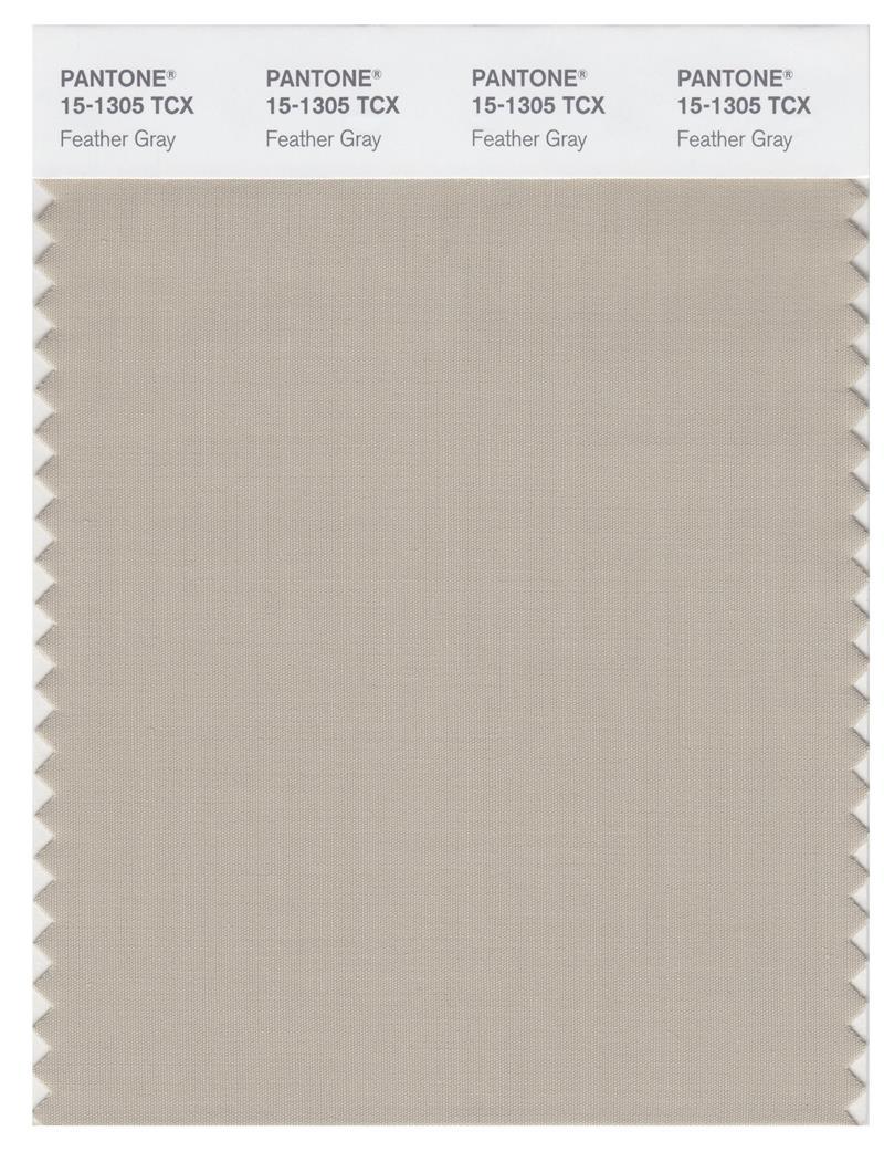 Pantone Smart 15-1305 TCX Color Swatch Card | Feather Gray | Magazine ...