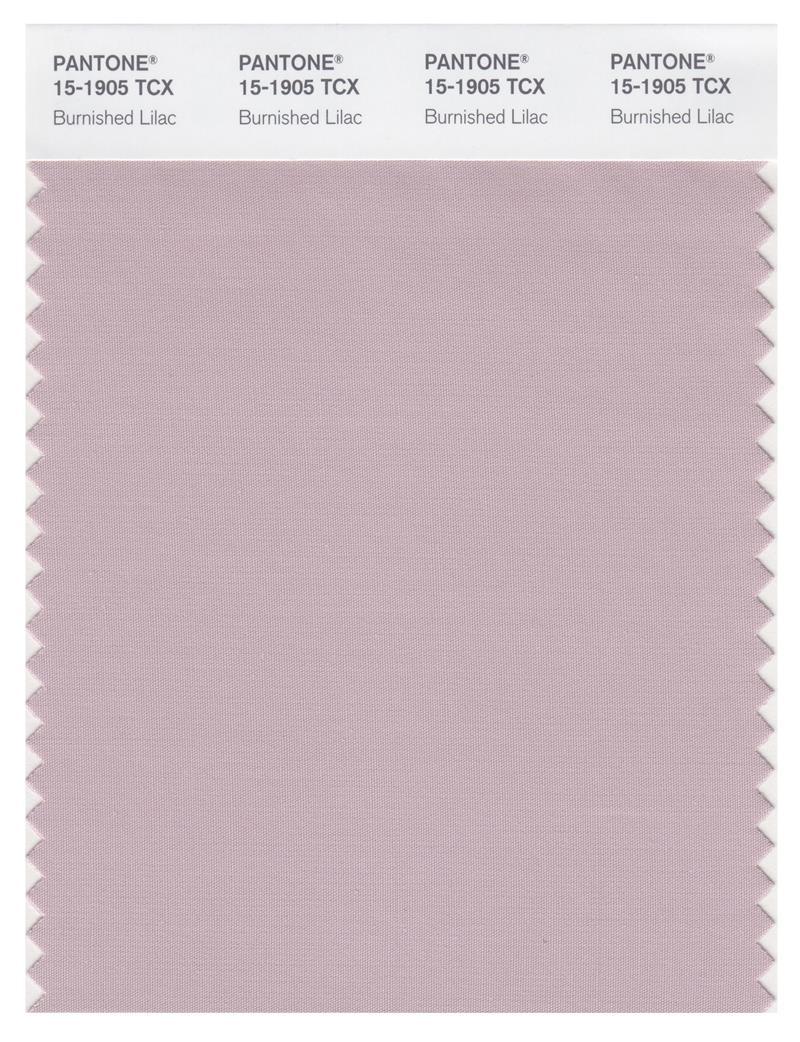 Pantone Smart 15-1905 TCX Color Swatch Card | Burnished Lilac ...