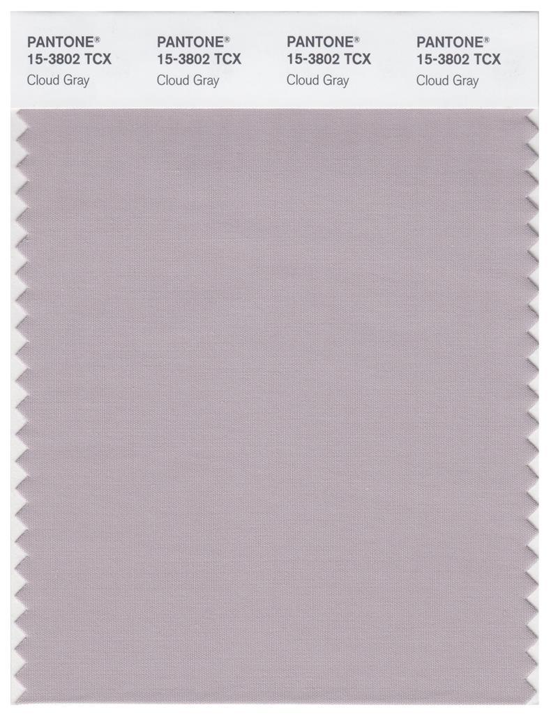 Pantone Smart 15-3802 TCX Color Swatch Card | Cloud Gray | Magazine ...