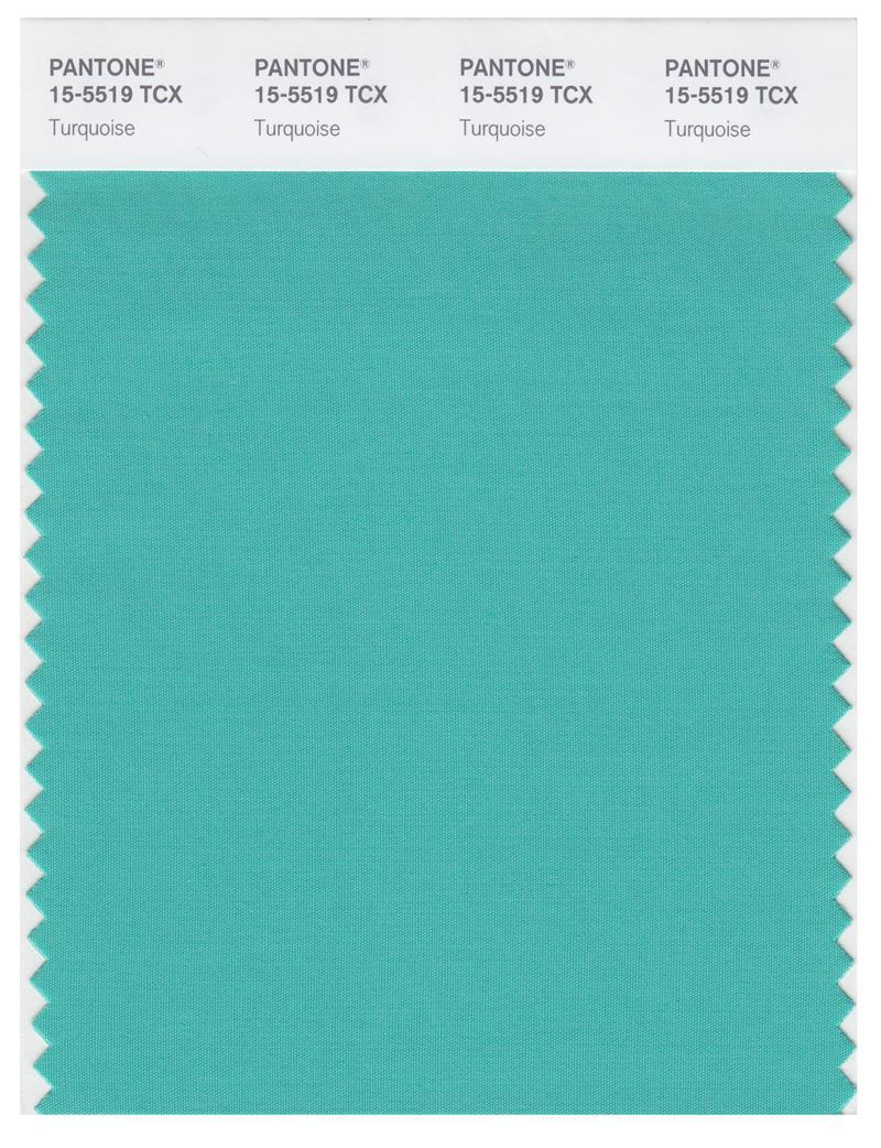 Pantone Smart 15-5519 TCX Color Swatch Card | Turquoise | Magazine Cafe ...