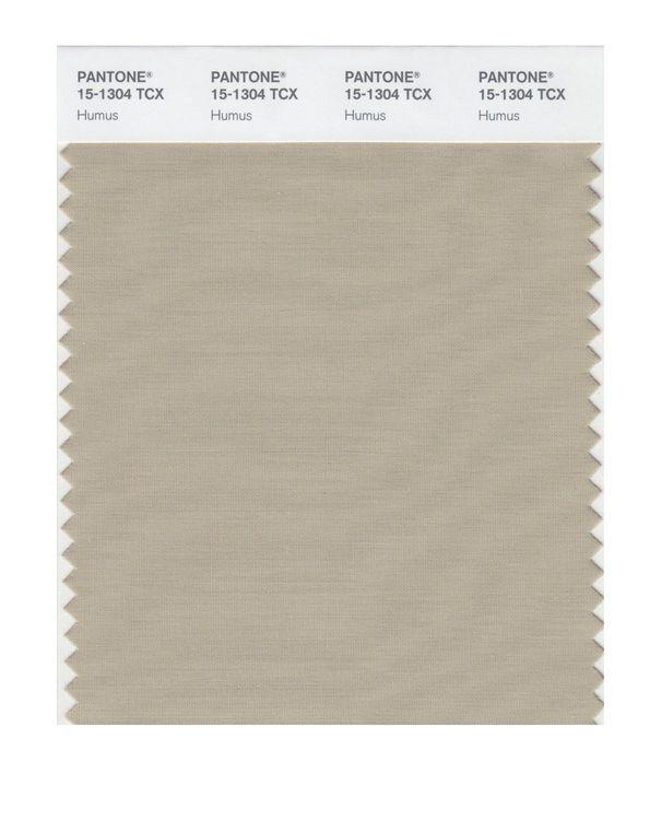 Pantone Smart 15-1304 TCX Color Swatch Card | Humus | Magazine Cafe ...
