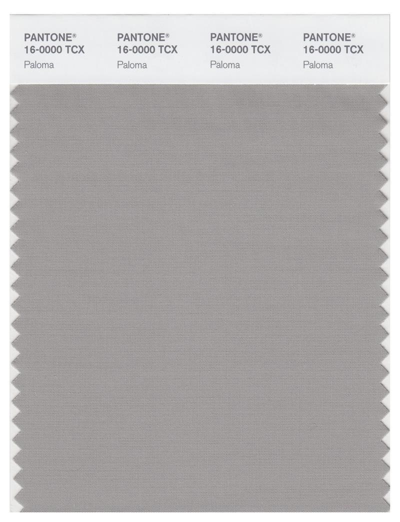 Pantone Smart 16-0000 TCX Color Swatch Card | Paloma | Magazine Cafe Store NYC USA