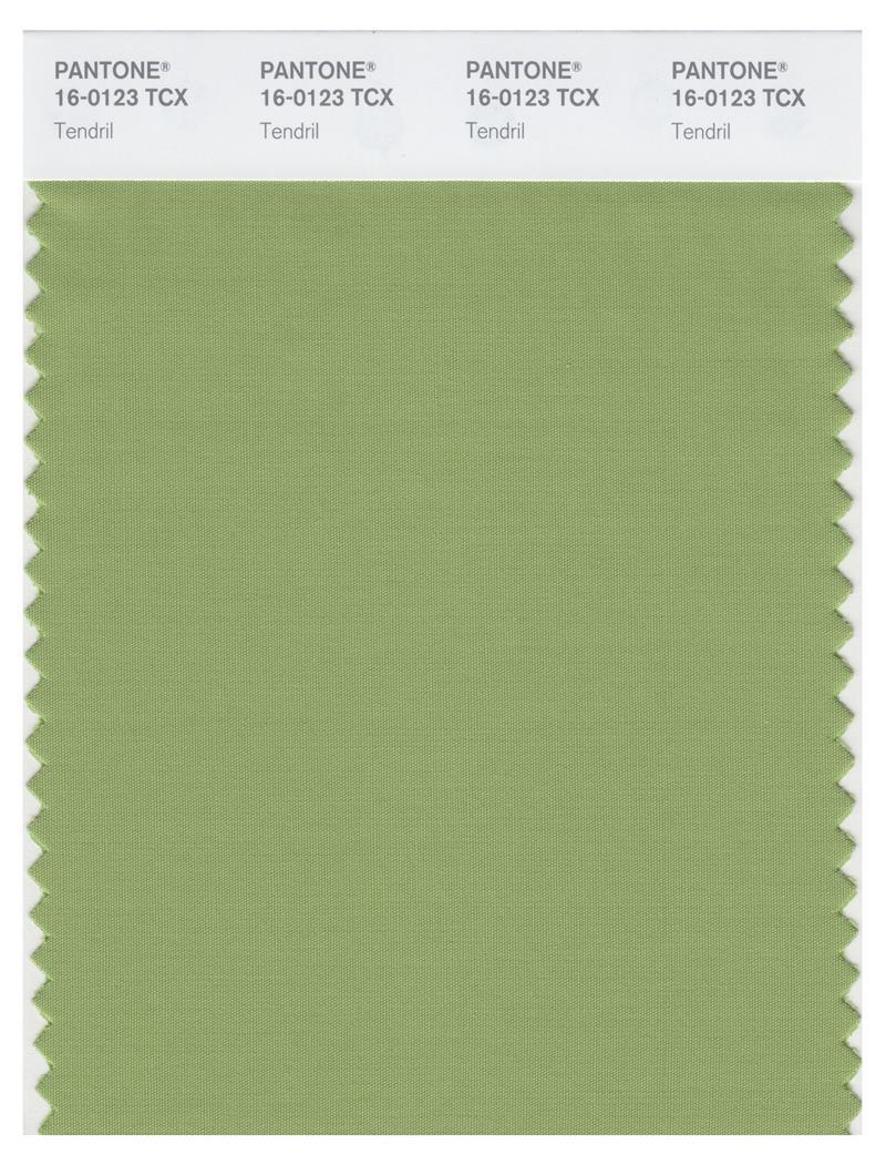 Pantone Smart 16-0123 TCX Color Swatch Card | Tendril | Magazine Cafe ...