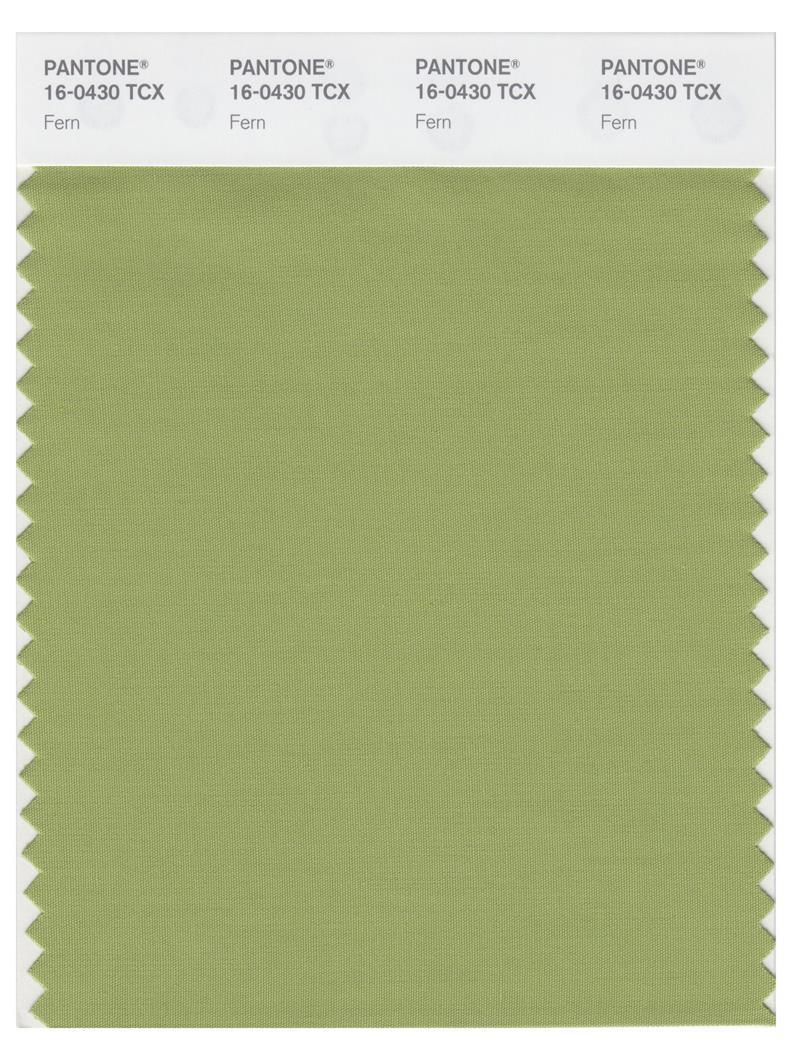 Pantone Smart 16-0430 TCX Color Swatch Card | Fern | Magazine Cafe ...